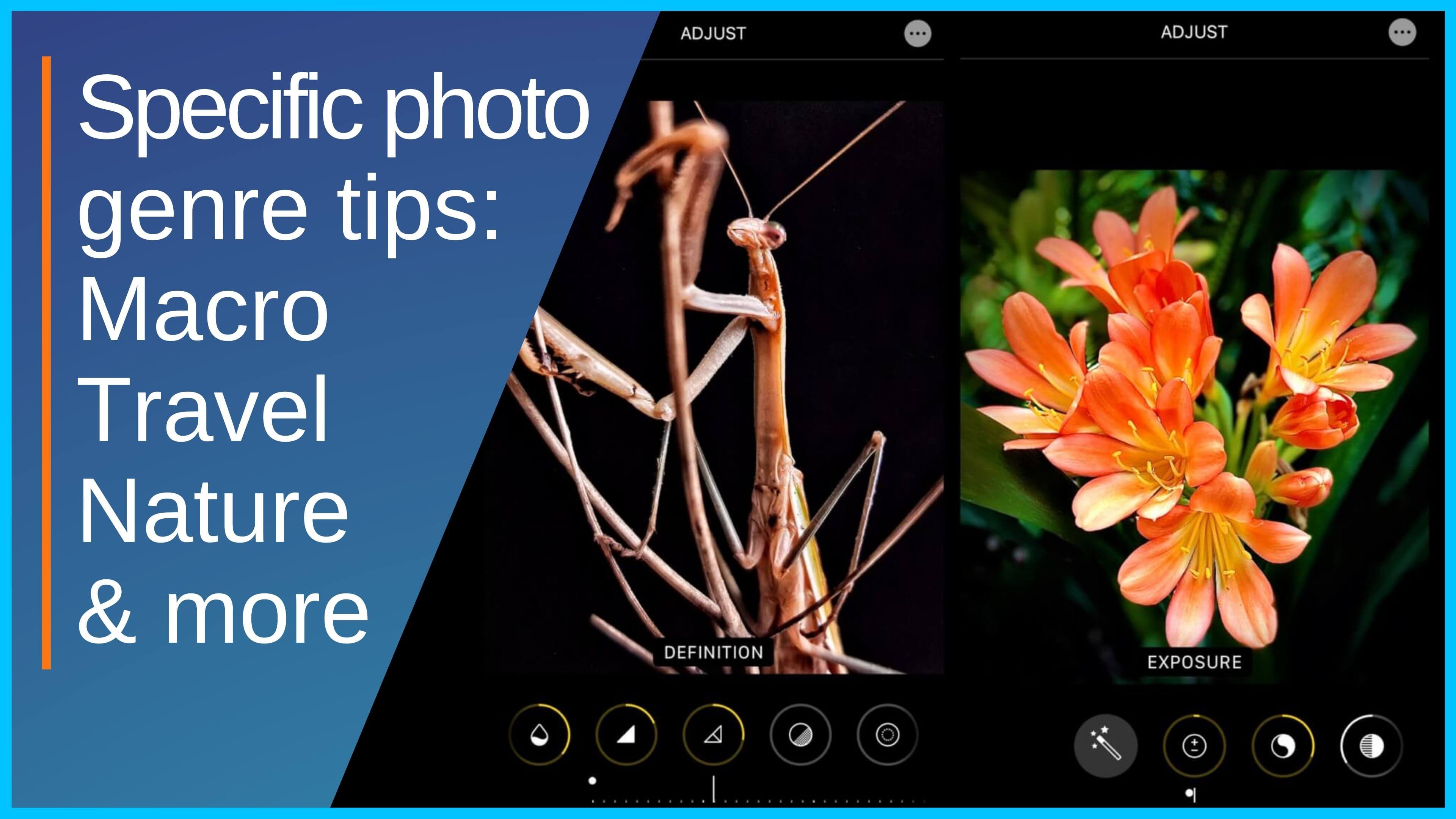 Balance In Composition - 11 Tips